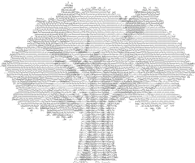 D9G1314: Segundo Trimestre